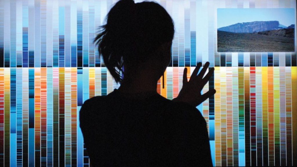 Graduate Programs - College of Arts, Media and Design (CAMD)