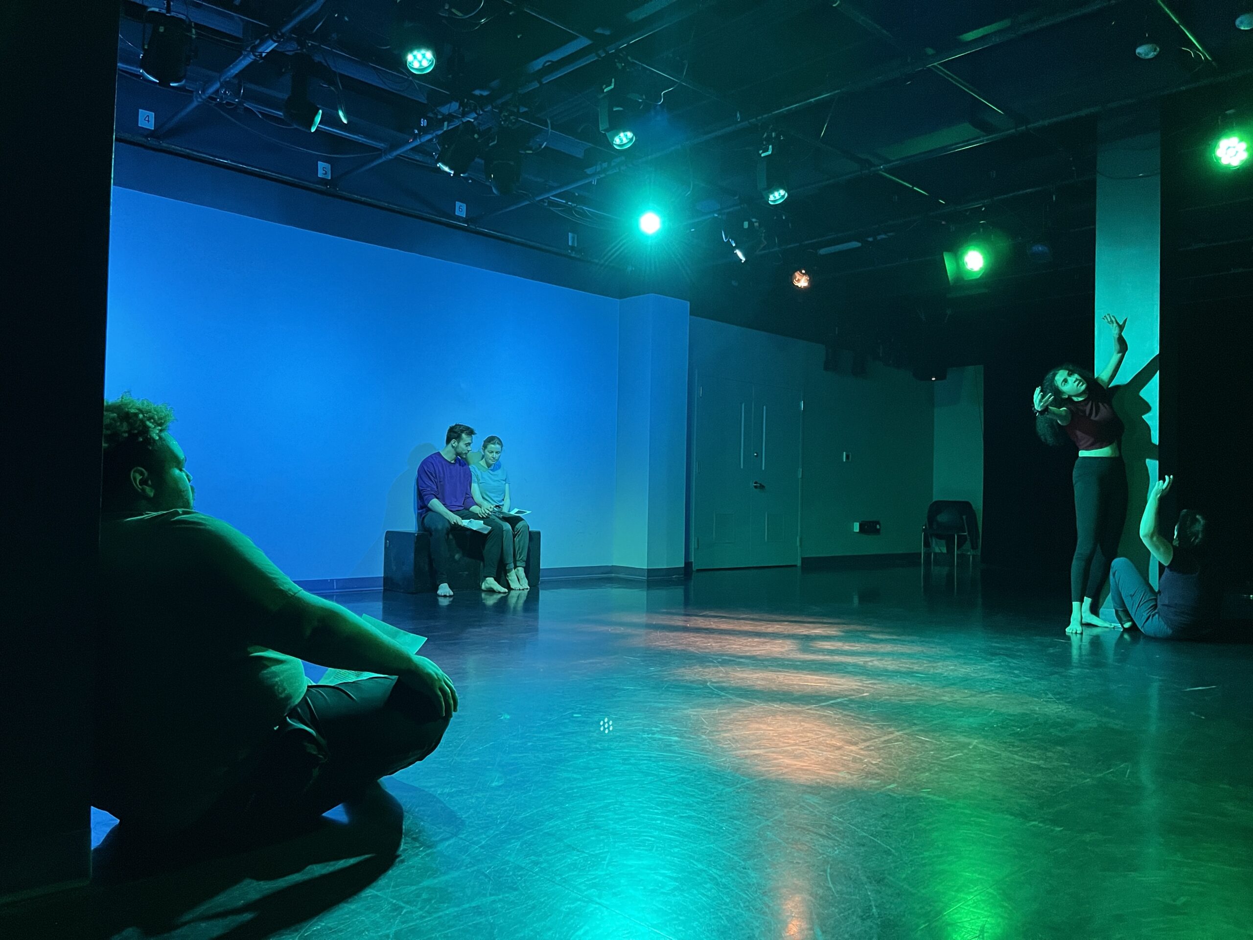 The Data Theatre Collaborative - College of Arts, Media and Design (CAMD)